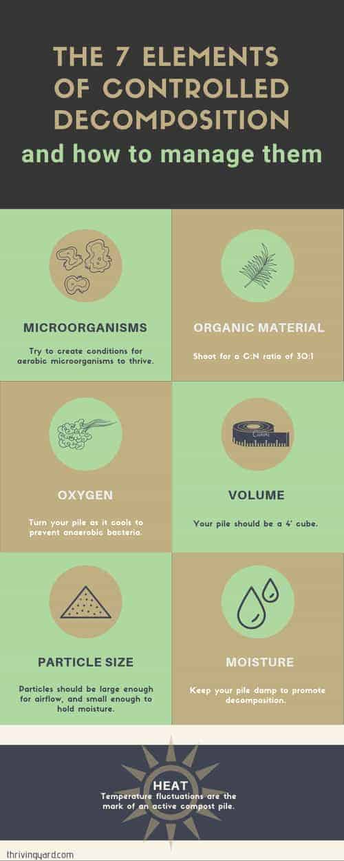 How Compost Is Made: The Definitive Guide – Thriving Yard