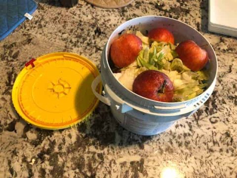 Compost Ingredients: Lists, Ratios, & Cautions For Beginners – Thriving ...