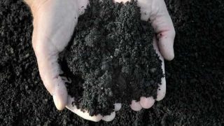 Best Compost Accelerator (Activator) – Top Products Compared – Thriving ...