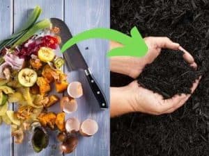 Vermicompost vs. Traditional Compost: Which Is Better? – Thriving Yard