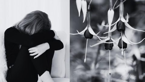 Why Does Your Fuchsia Look Dead? 5 Common Reasons – Thriving Yard