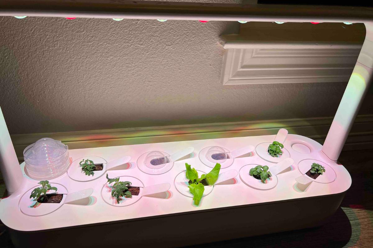 Click And Grow Smart Garden Review (Mind-Blowing Results!) – Thriving Yard